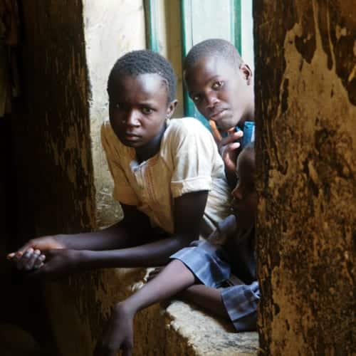 White Dove (Farar Tattabara) Messaging Hub in Northern Nigeria & Lake ...